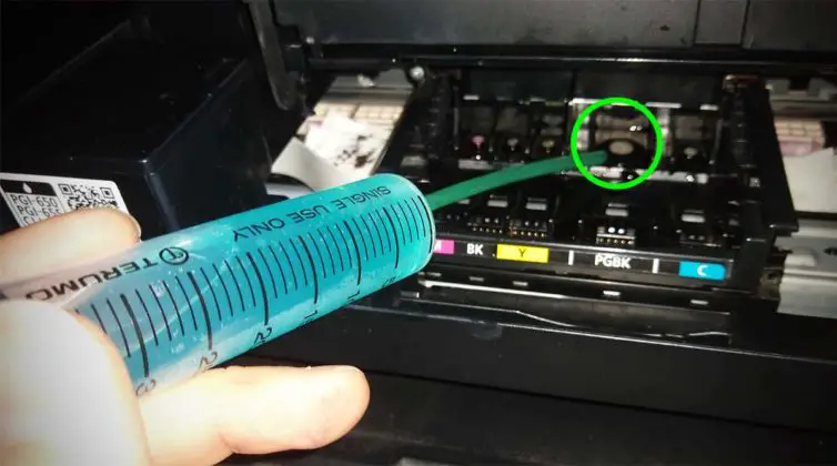 How to Clean Printer Heads Using Household Products Canon, HP, Epson ...