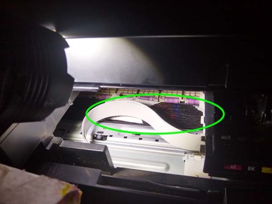 How to Clean Printer Heads Using Household Products Canon, HP, Epson ...